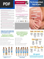 Carnet Del Embarazo | PDF