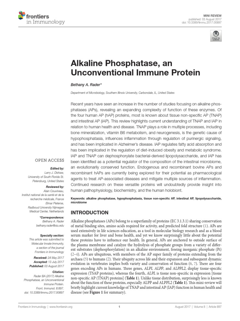 Alkaline Phosphatase | PDF | Molecular Biology | Biochemistry