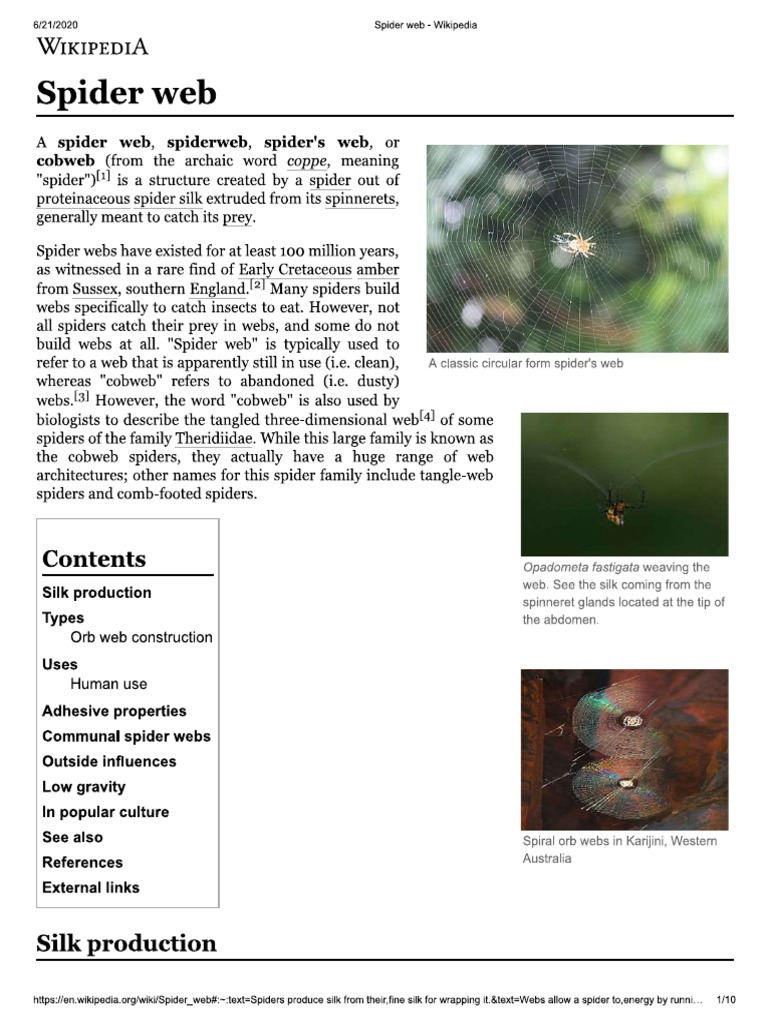 Spider Web - Wiki 1 | PDF