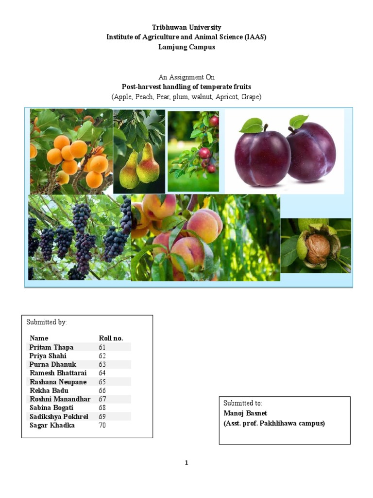 An Assignment On (Apple, Peach, Pear, Plum, Walnut, Apricot, Grape ...