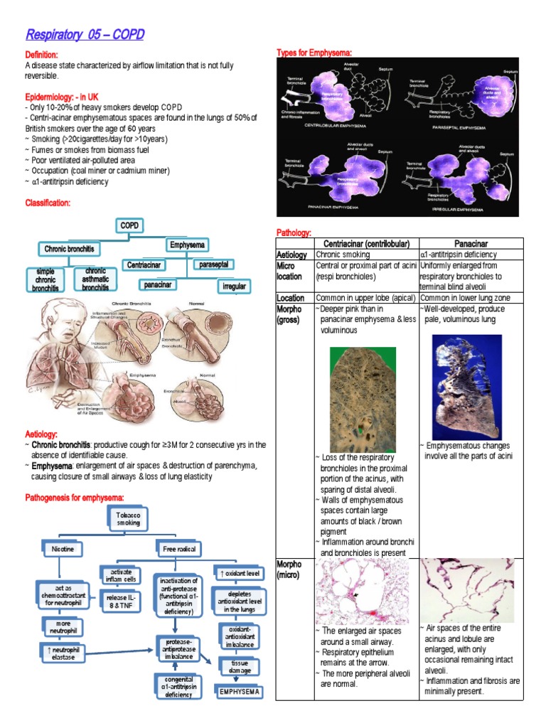 Respi 05 - COPD | PDF | Chronic Obstructive Pulmonary Disease ...