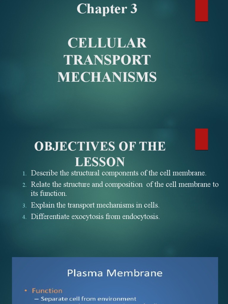 GENBIO.1.Chapter 3 - Cellular Transport Mechanisms | PDF | Cell ...