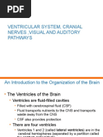 Facial Grading System | PDF | Face | Medical Specialties