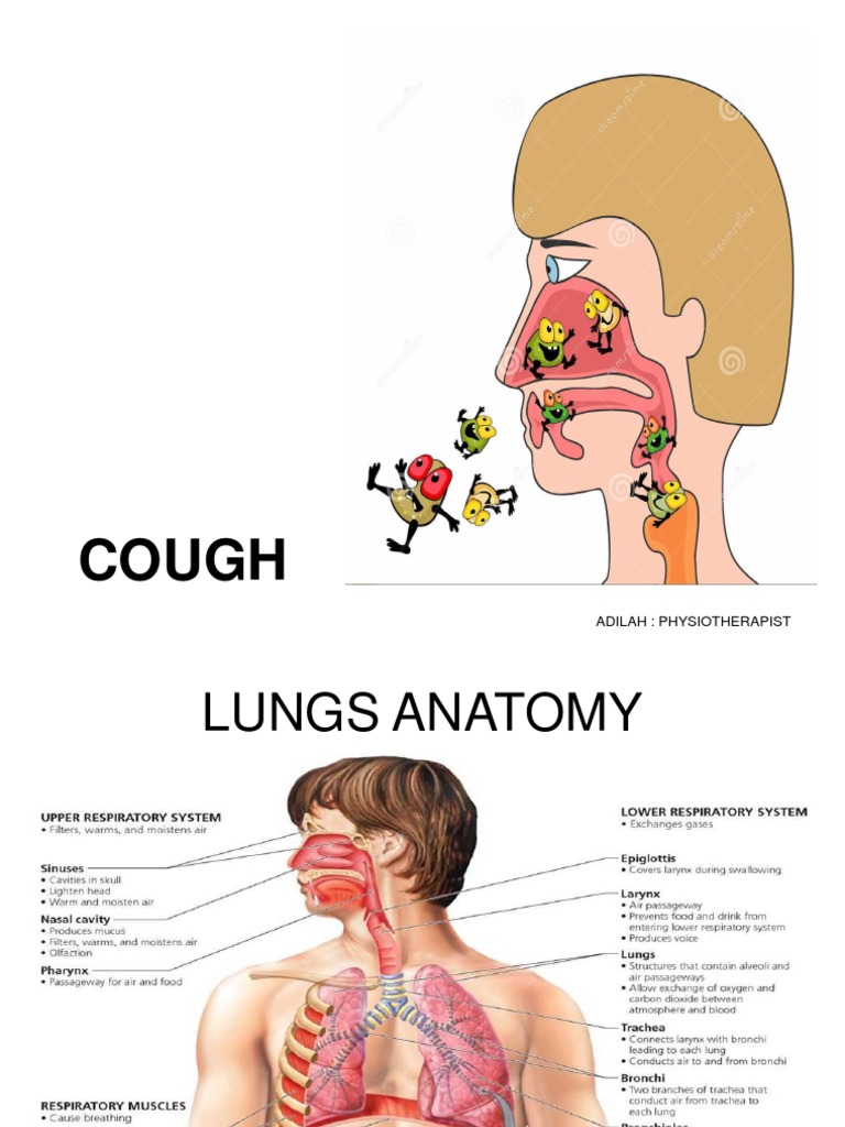 Clear Coughs with EOs and Physiotherapy | PDF | Cough | Respiratory Tract
