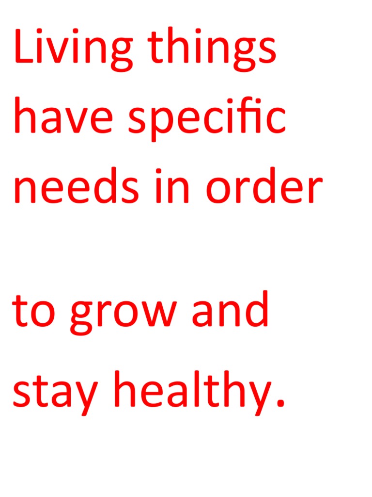 Living Things Have Specific Needs in Order | PDF