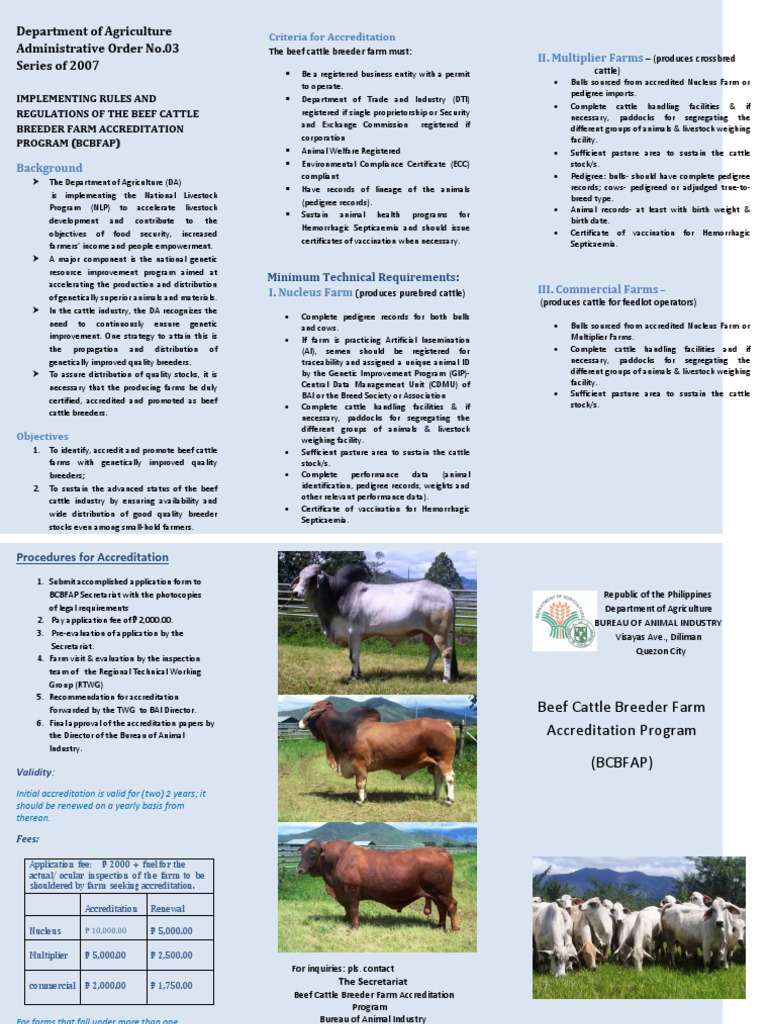 Beef Cattle Breeder Accreditation Rules | PDF | Cattle | Livestock