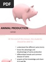 Swine Feeding Guide | PDF