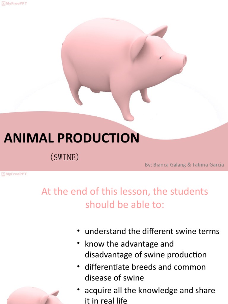 Animal Production: (Swine) | PDF | Domestic Pig | Pig