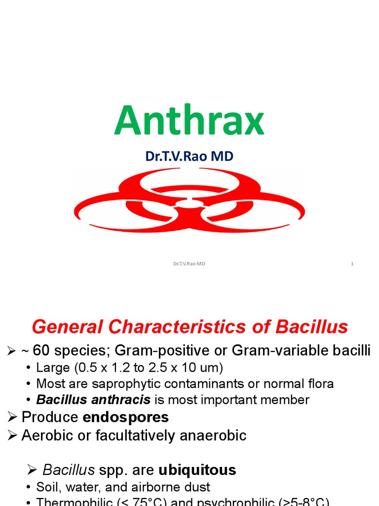 Anthrax Teaching | PDF | Anthrax | Bacillus