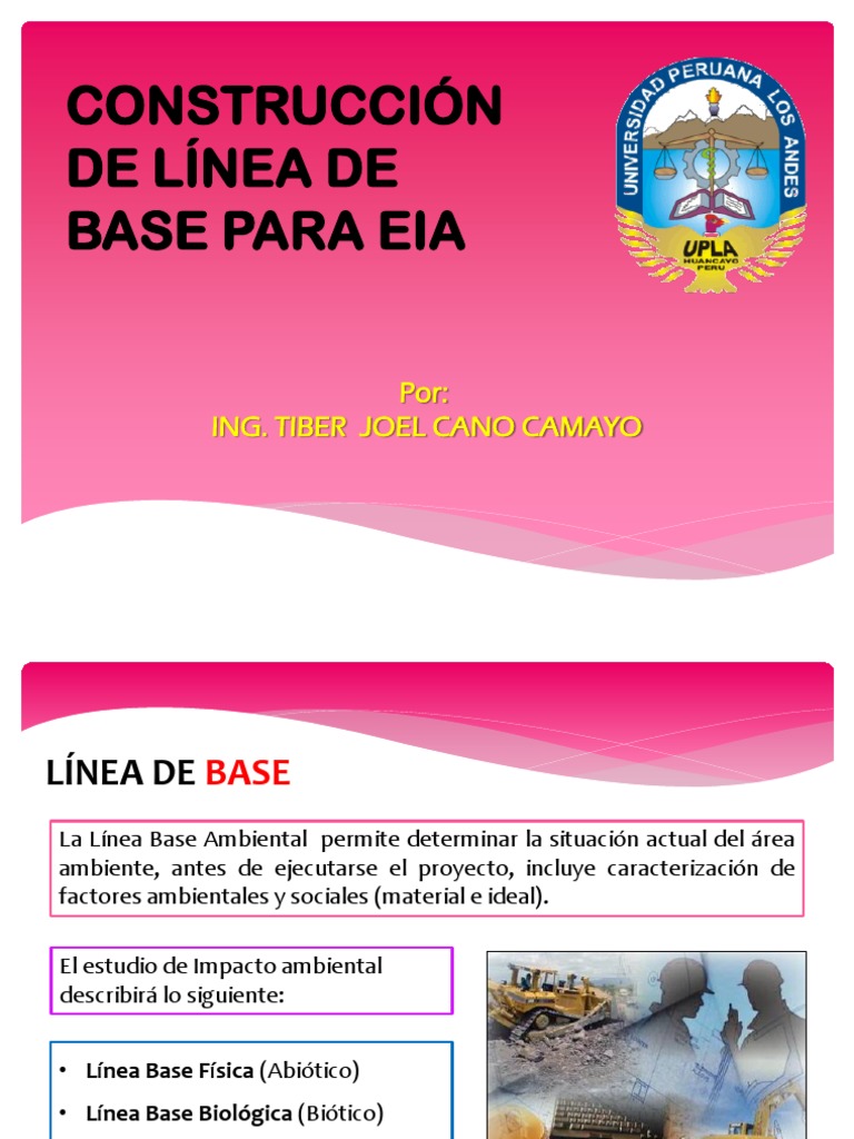 Linea de Base EIA | PDF | Evaluación de impacto ambiental | Suelo