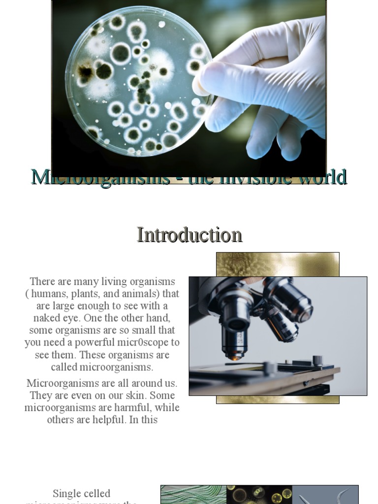 Microorganisms - The Invisible World | PDF | Microorganism | Protozoa
