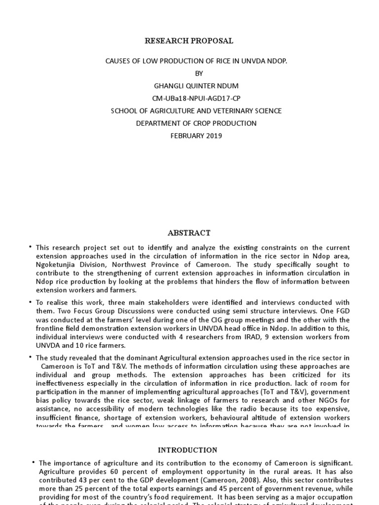 Rice Production | PDF | Rice | Information