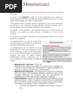 Metamería o Segmentación | PDF | Science | Zoología