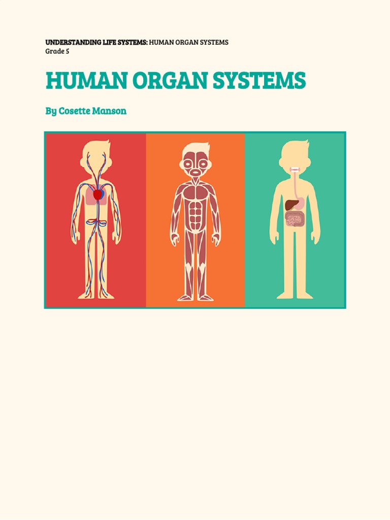 Organ Systems Project | PDF | Human Body | Breathing
