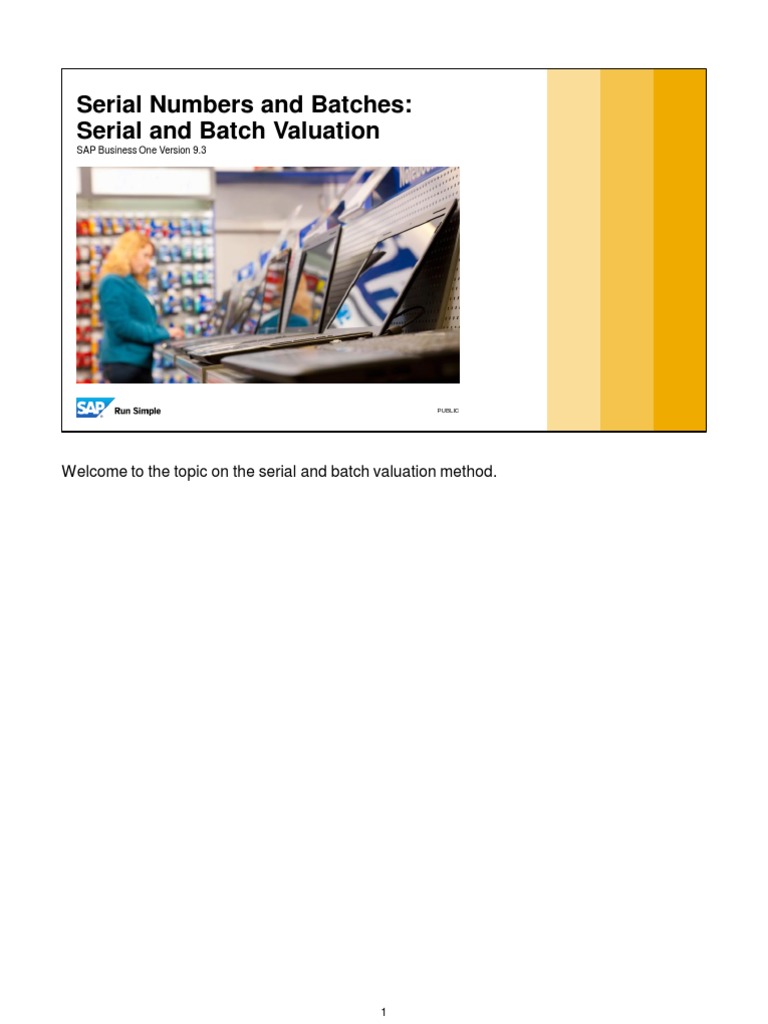 Serial Numbers and Batches: Serial and Batch Valuation | PDF ...