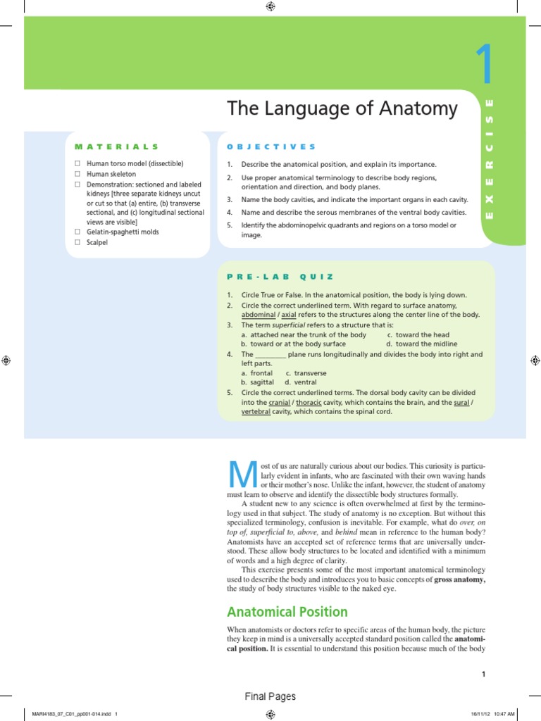 Fall 2015 The Language of Anatomy | PDF | Anatomical Terms Of Location ...