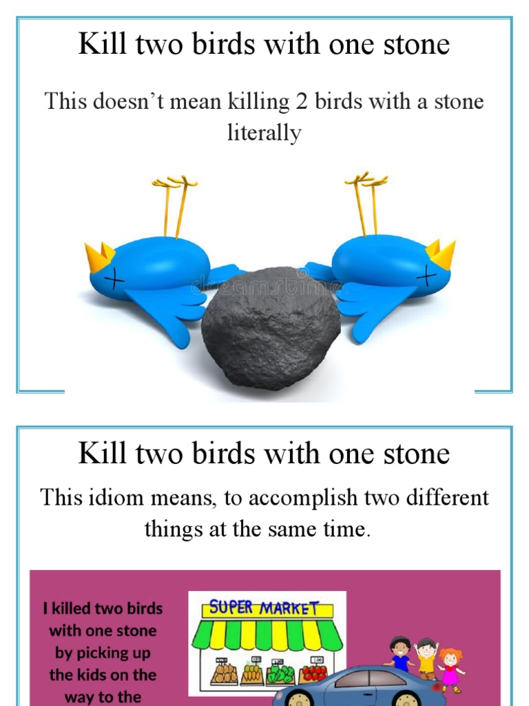 Kill Two Birds With One Stone | PDF