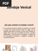 GUÍA de PROCEDIMIENTOS Control de La Diuresis | PDF | Vejiga urinaria ...