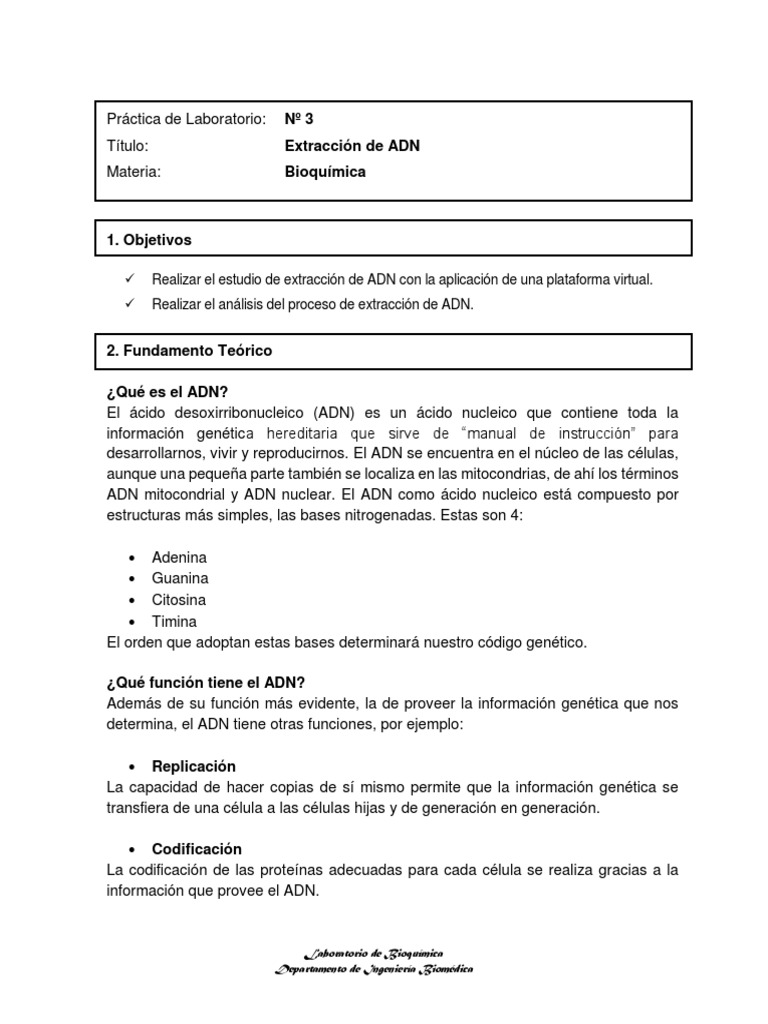 PRACTICA 3 (Extraccion de ADN) | PDF | Adn | Genética