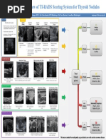 Recist Book 1 1 Handout | PDF | Positron Emission Tomography | Ct Scan