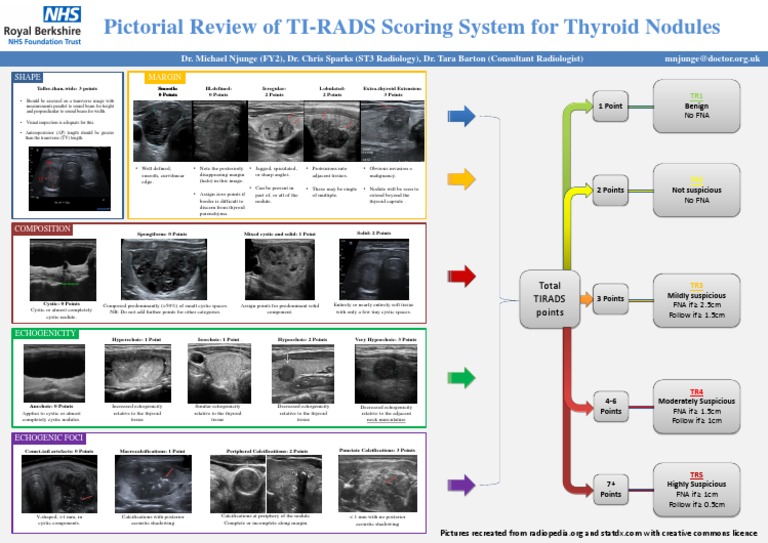 TI-RADS Scoring for Thyroid Nodules | PDF | Human Anatomy | Nature
