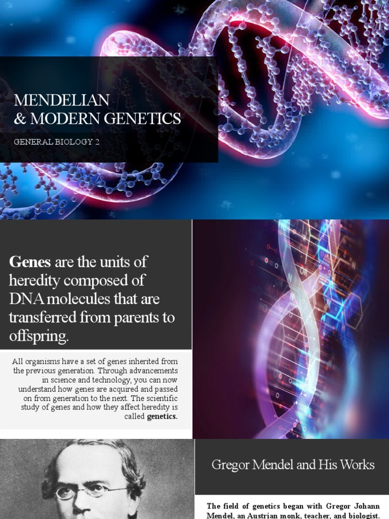 Mendelian & Modern Genetics: General Biology 2 | PDF | Dominance ...