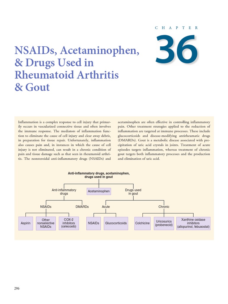NSAIDs & Rheumatoid Arthritis Drugs | PDF | Nonsteroidal Anti ...