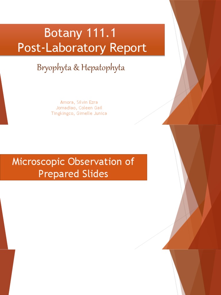 Botany 111.1 Post-Laboratory Report | PDF