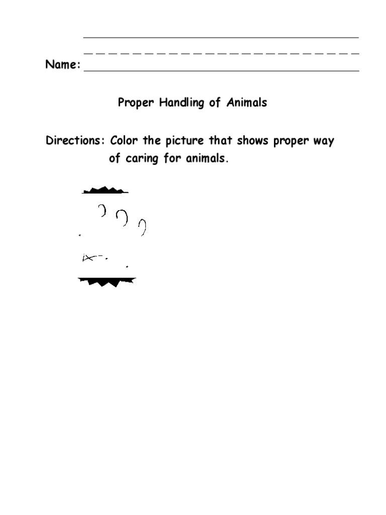 Proper Handling of Animals | PDF