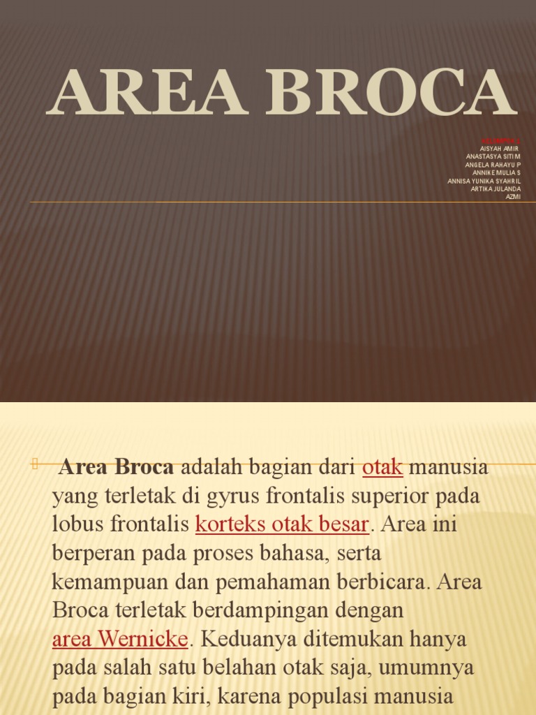 Fungsi dan Lokasi Area Broca | PDF | Kajian Bahasa Asing