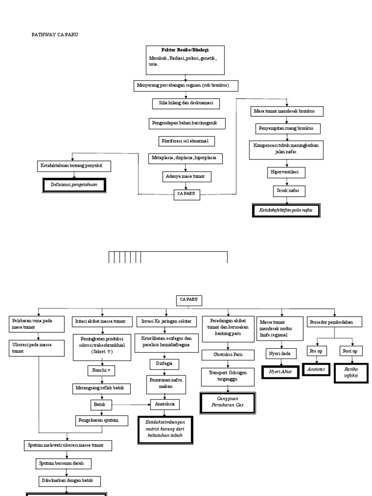 Pathway C.A Paru | PDF