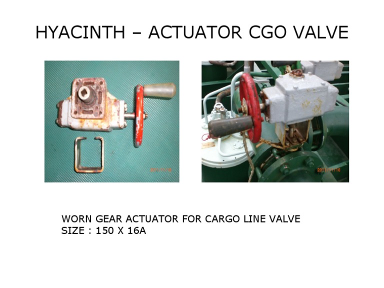 Hyacinth - Actuator Cgo Valve | PDF