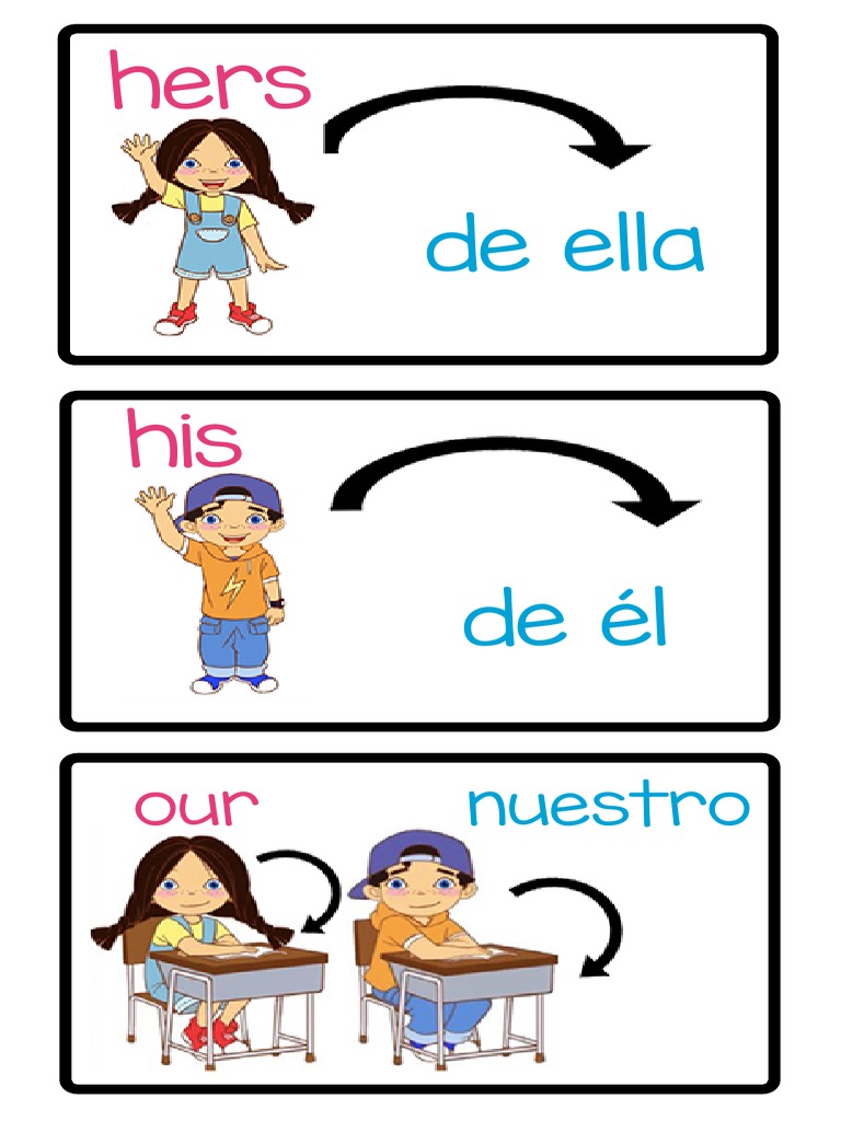 Possessive Pronouns (Eng:Spa) Flash Cards 2020 | PDF