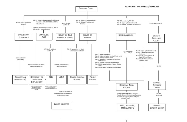 A Comprehensive Flowchart Depicting the Appellate and Remedies ...