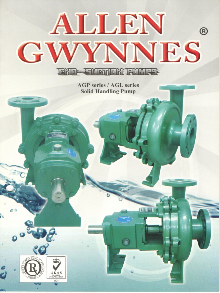 Allen Gwynnes End Suction Pumps AGP 40 | PDF