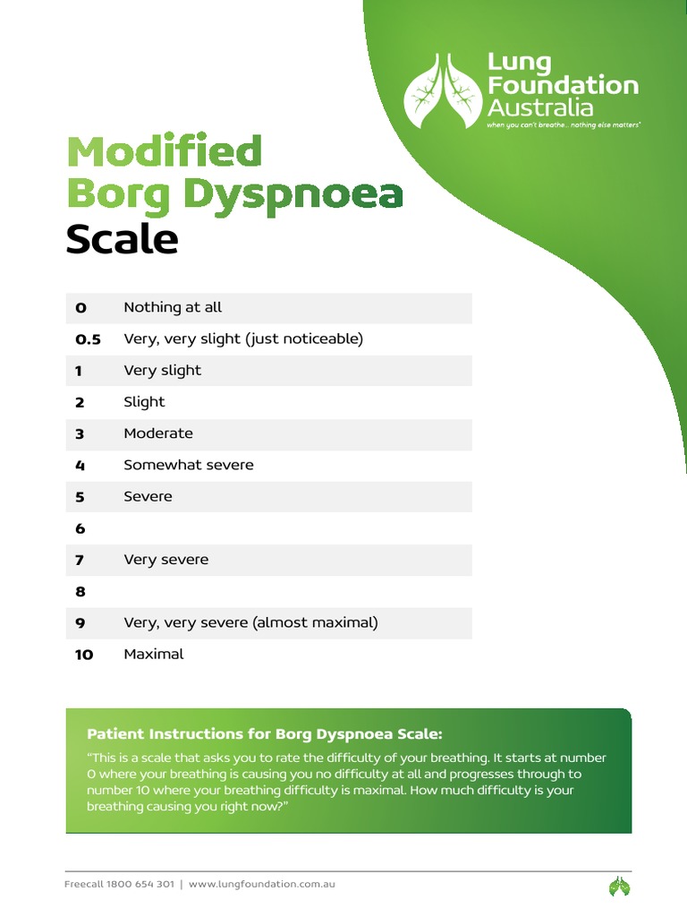 04 Modified Borg Dyspnoea Scale | PDF