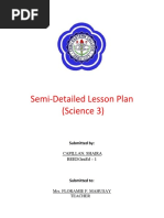 Multi Grade Semi-Detailed Lesson Plan | PDF | Plants | Leaf