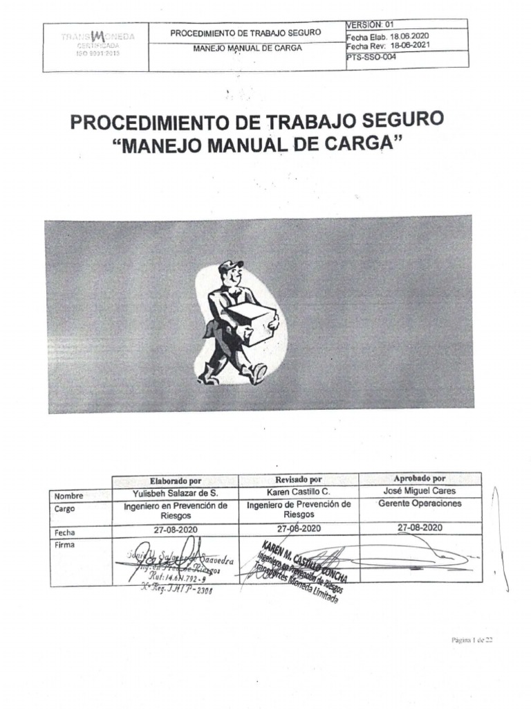 PTS-SSO-004. V01 Procedmiento de Trabajo Seguro Manejo Manual de Carga ... PTS-SSO-004. V01 Procedmiento de Trabajo Seguro Manejo Manual de Carga ...