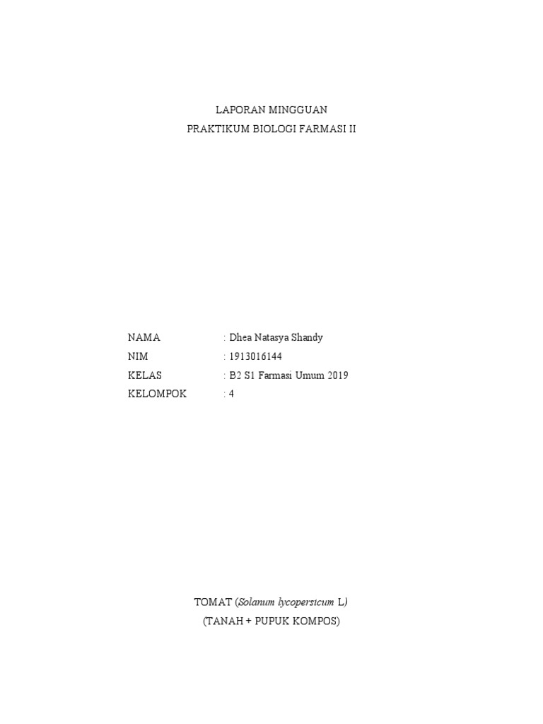 Dhea Natasya Shandy - 1913016144 - B2 - Laporan Praktikum II | PDF | Sains & Matematika ...