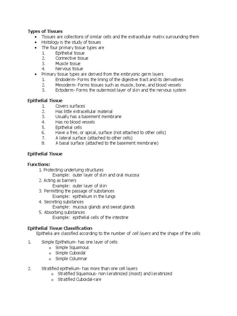 Types of Tissues | PDF | Epithelium | Tissue (Biology)
