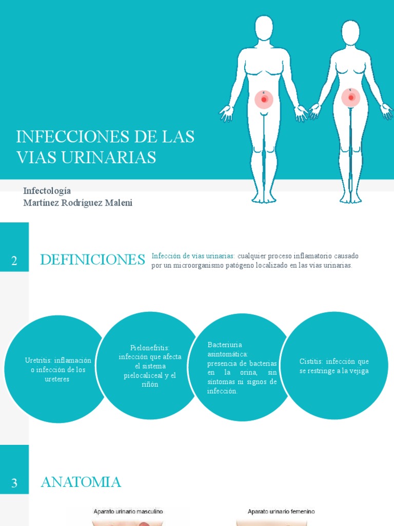 Ivu Presentacion | PDF | Infección del tracto urinario | Sistema urinario
