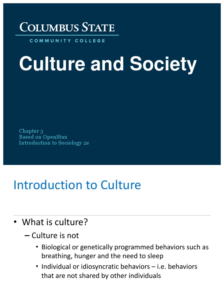 Culture and Society: Based On Openstax Introduction To Sociology 2E ...