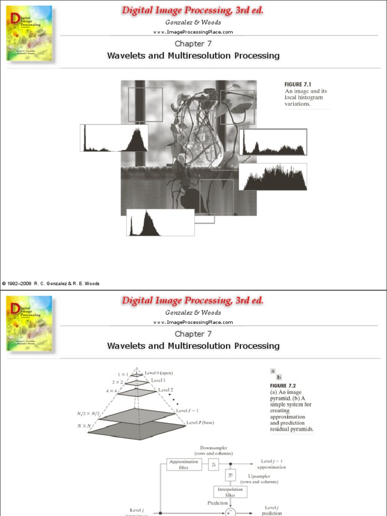 Wavelets and Multiresolution Processing: Gonzalez & Woods | PDF | Wavelet | Computer Vision