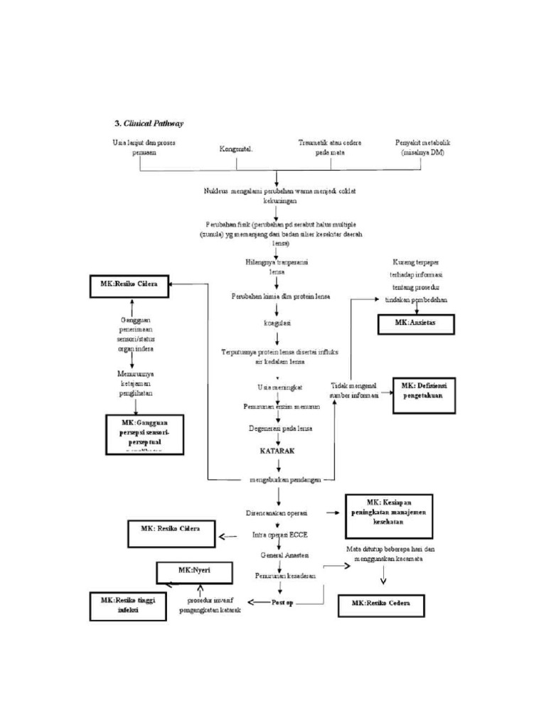 Pathway Katarak | PDF