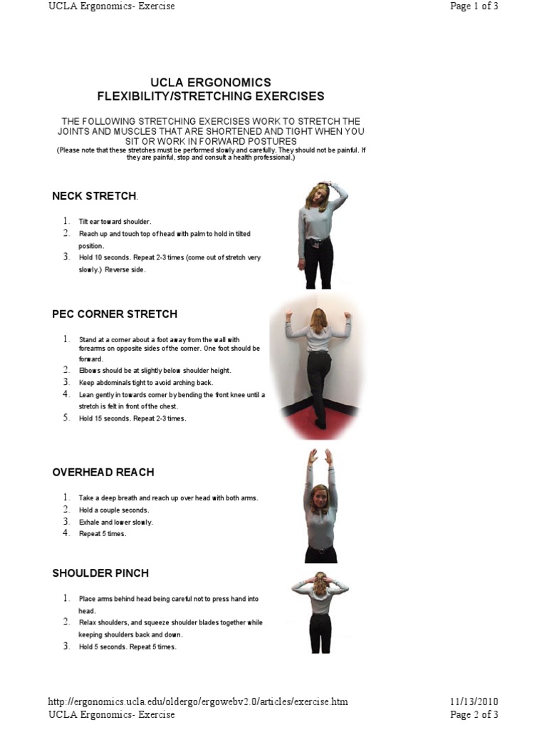 UCLA Ergonomic Stretching Guide | PDF | Arm | Hand