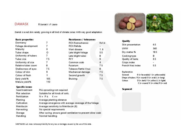 Damask: Basic Properties Resistances / Tolerances Quality | PDF ...