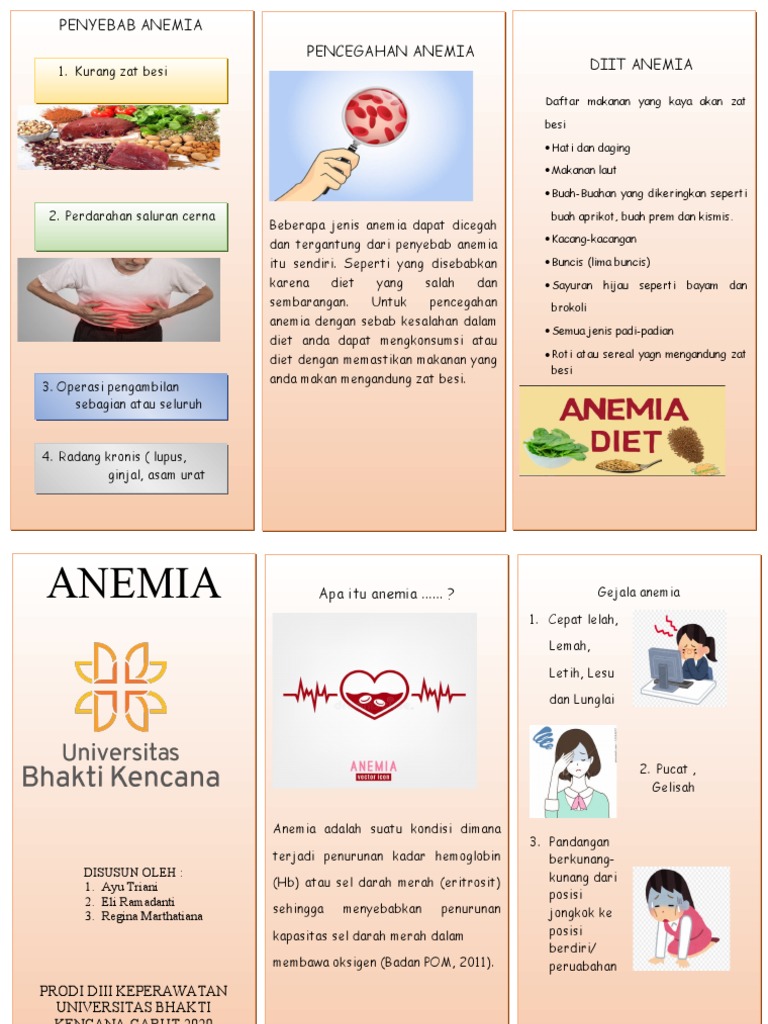 Leaflet Anemia | PDF