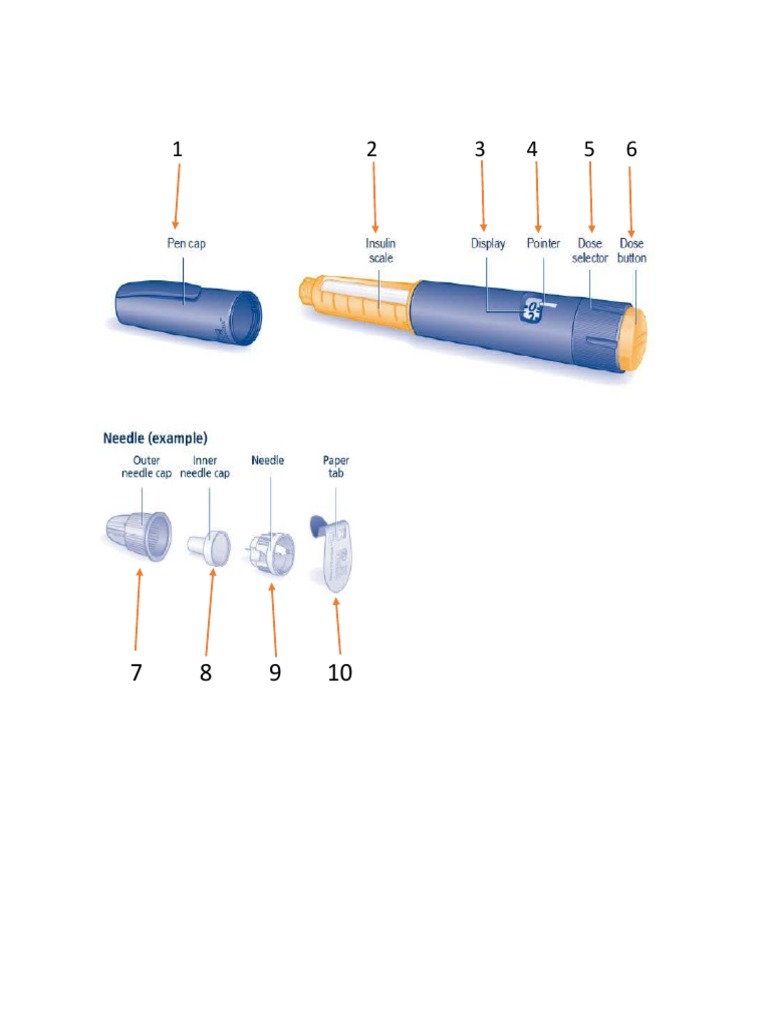 Bagian Bagian Insulin | PDF