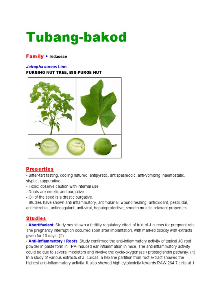 Tubang Bakod | PDF | Antiviral Drug | Antimicrobial