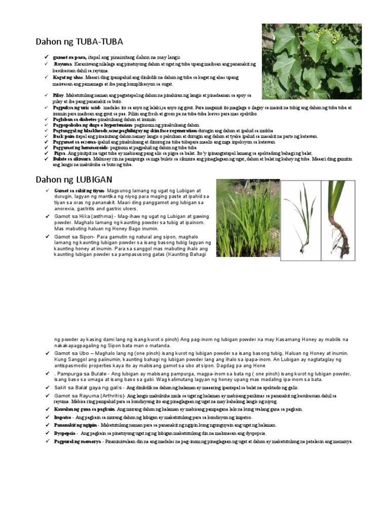 TUBATUBA&LUBIGAN | PDF
